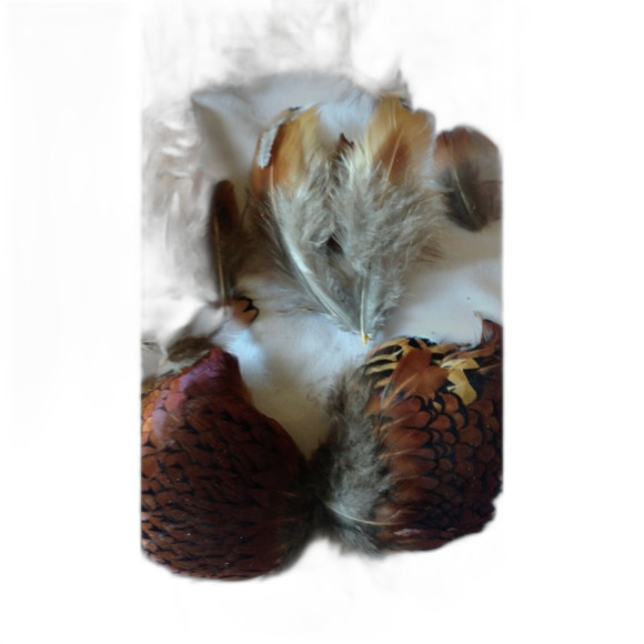 None | Art | Natural Ring Neck Pheasant Feathers 34 Oz Of Feathers Per ...